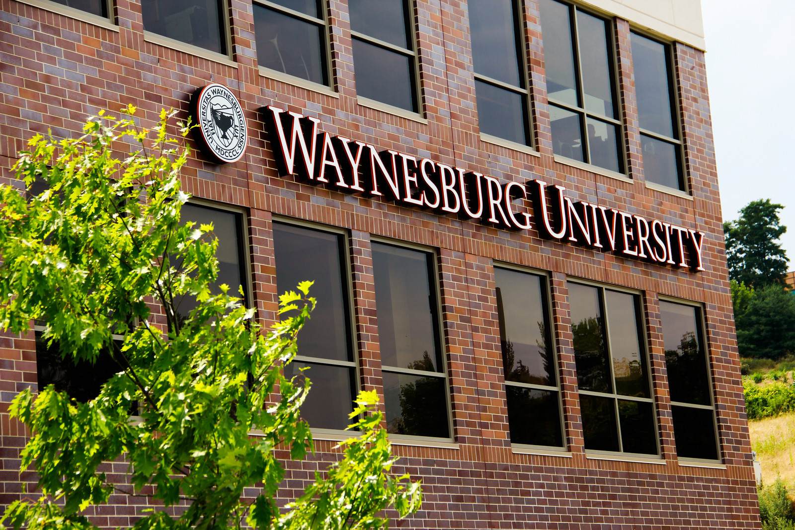 Waynesburg University | RN to BSN Program named top online program in state