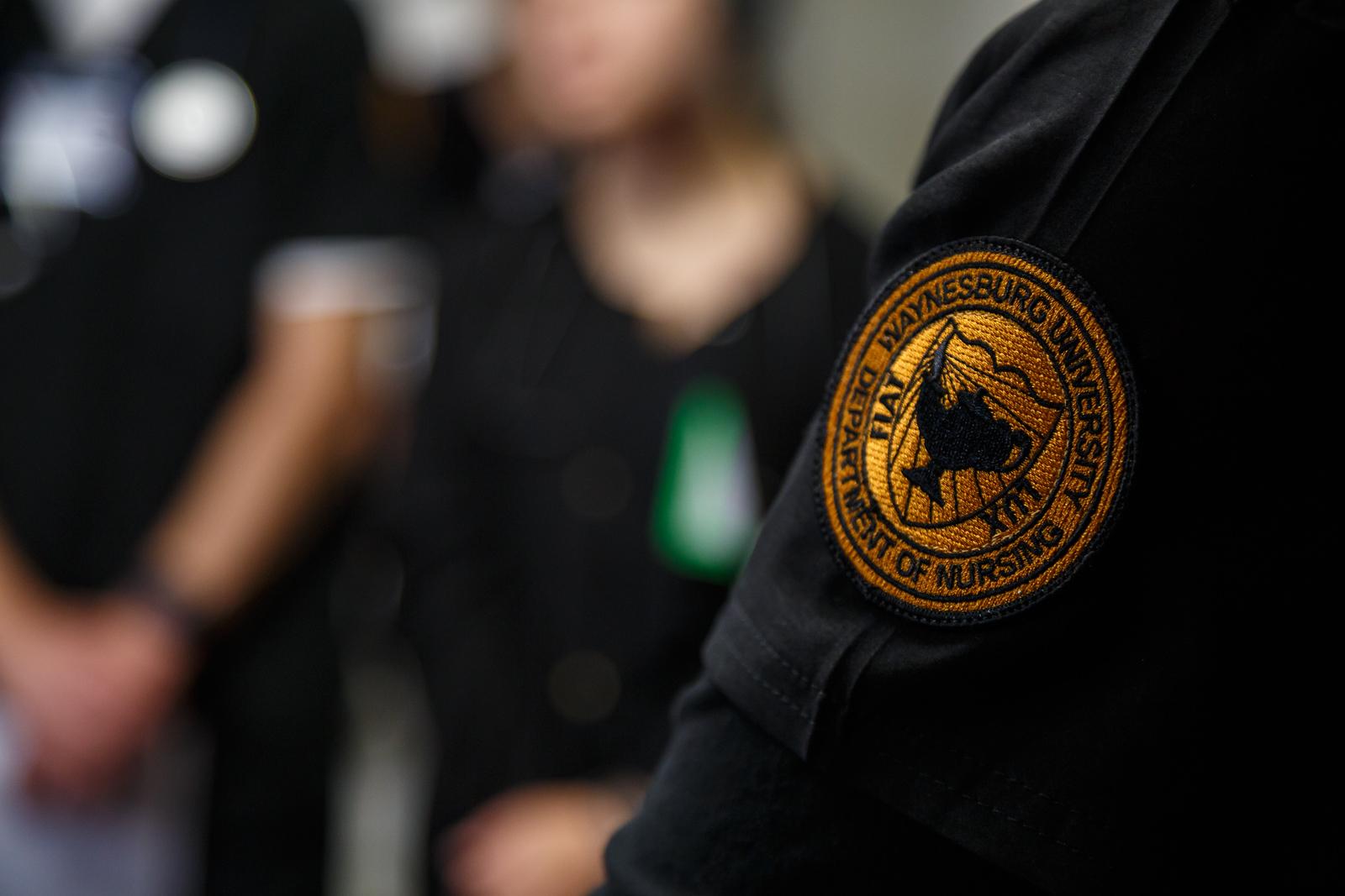 Waynesburg University | Nursing Program